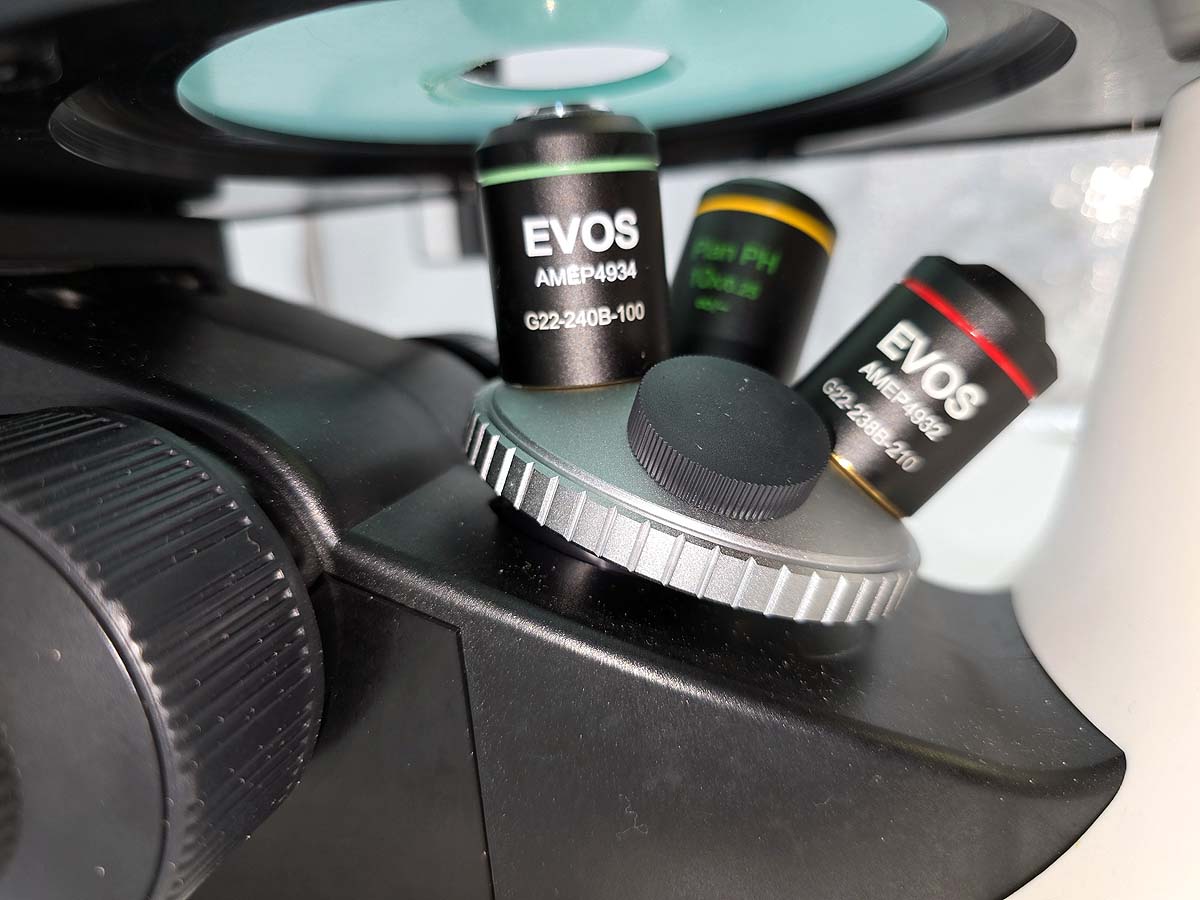 Inverted microscope imaging system | Invitrogen EVOS XL Core Imaging S ...